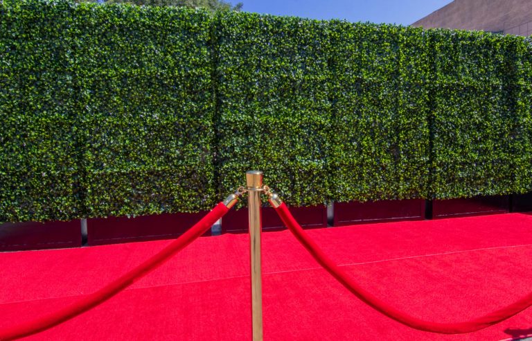 Red Carpet Runner - Trio Event Rentals - Rent upscale party rentals