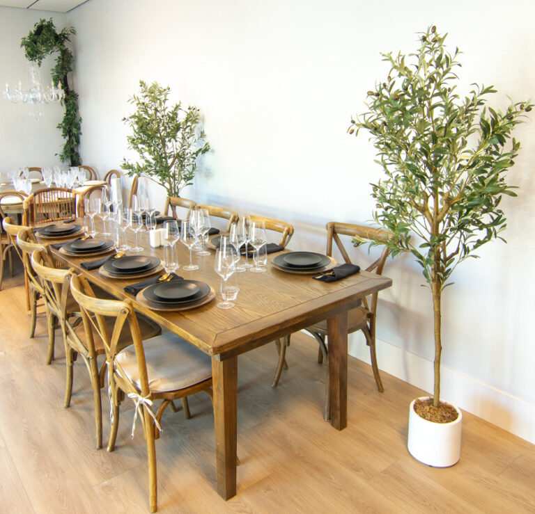 Olive Tree 6ft - Trio Event Rentals - Rent upscale party rentals